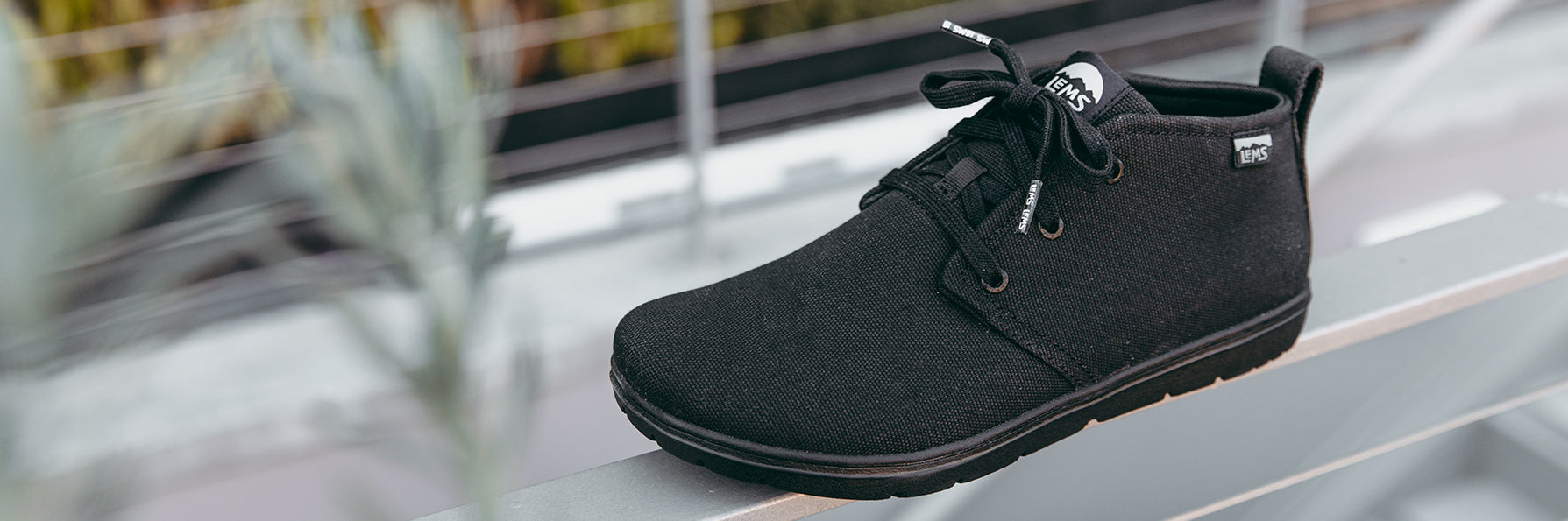 Looking for the Perfect Vegan, Eco-Friendly Pair? Look No Further ...